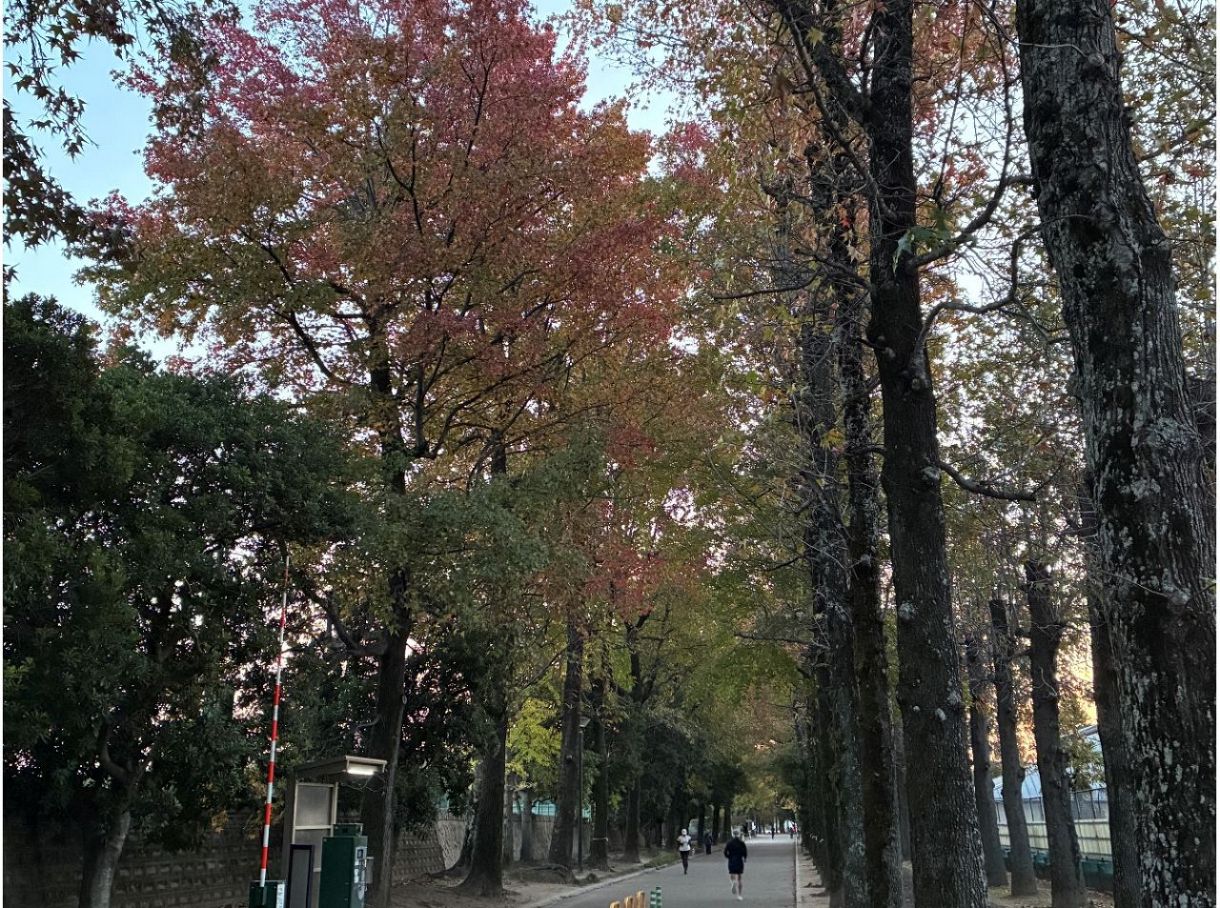 立冬の岡山県内 各地で晴れて気温上昇 ：山陽新聞デジタル｜さんデジ