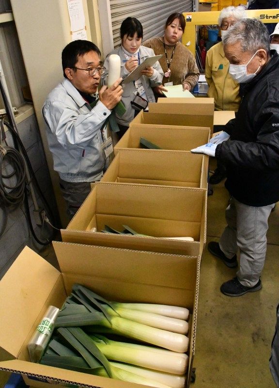 西洋ネギ「リーキ」出荷始まる 矢掛、太くて甘み十分：山陽新聞デジタル｜さんデジ